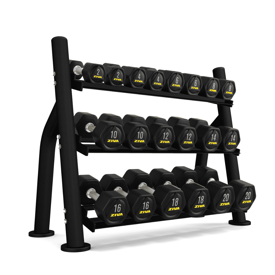 Dumbbell Storage and Rack Solutions | Physical Company