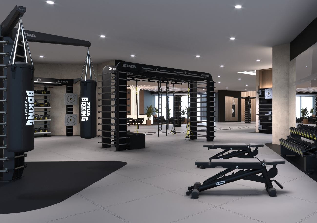 ZIVA & Physical: A new partnership to meet all needs / Physical Company ...